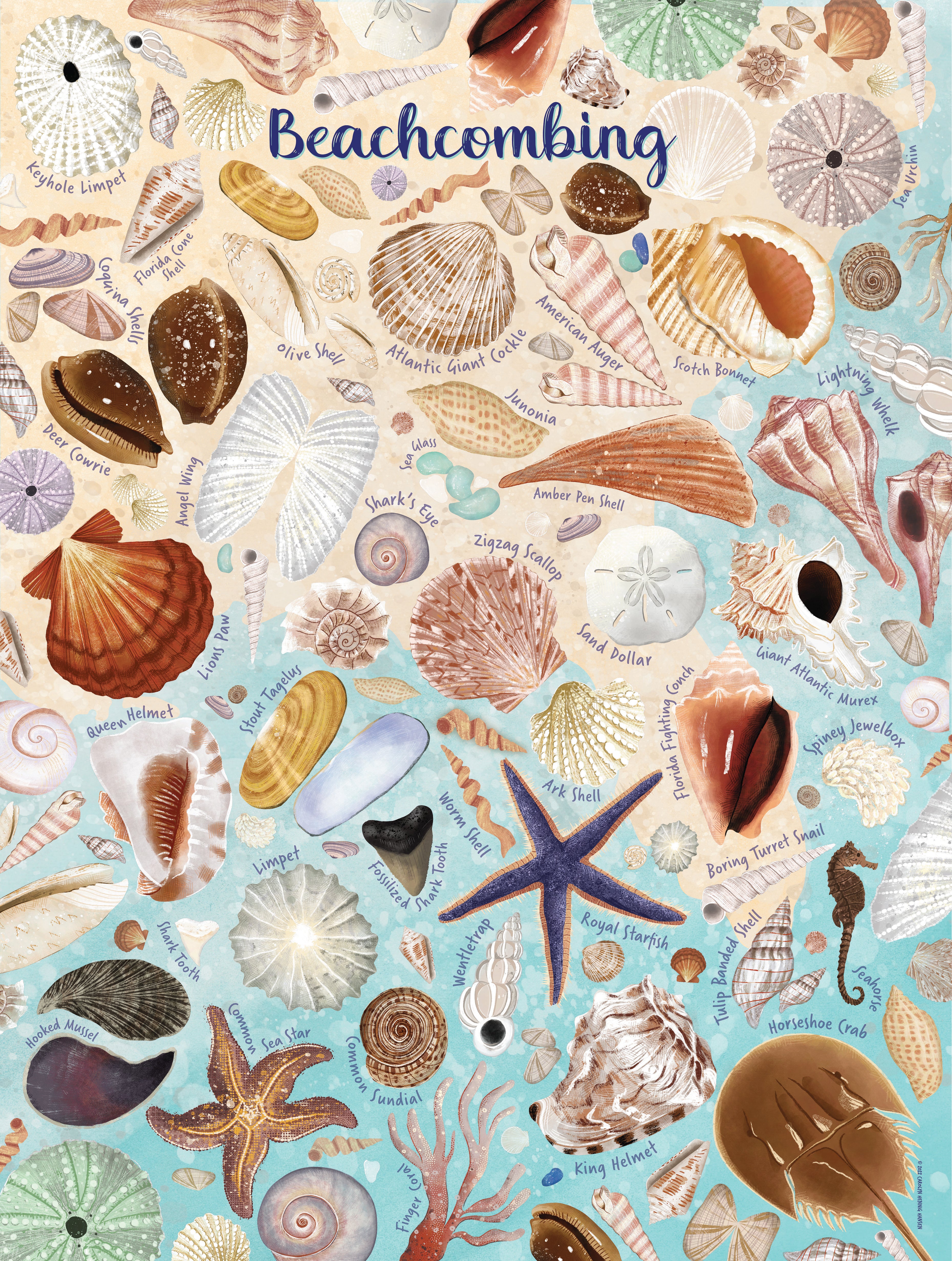 Beachcombing – True South Puzzle Company