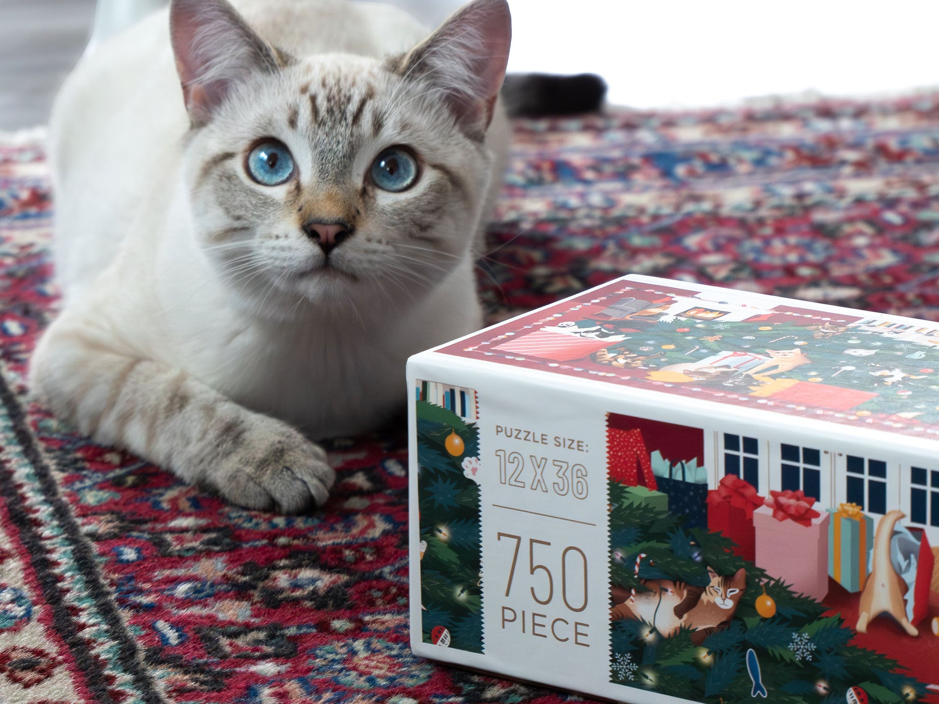 True South Puzzle Company