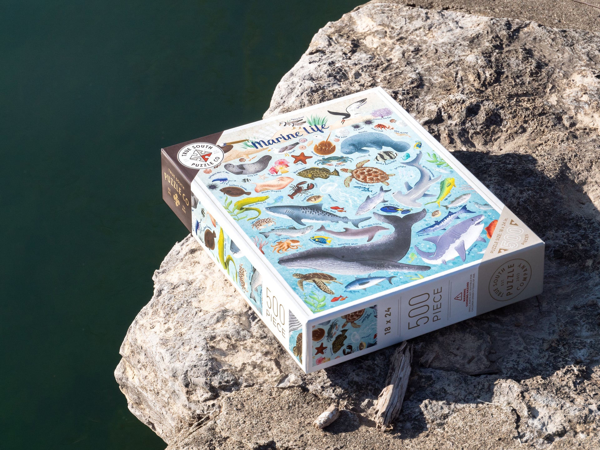 True South Puzzle Company